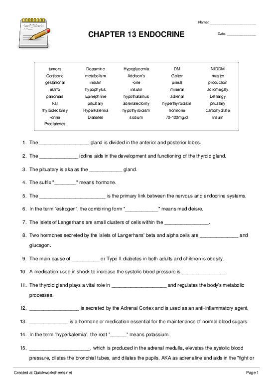 CHAPTER 13 ENDOCRINE Fill in the Blank Sentences Worksheet