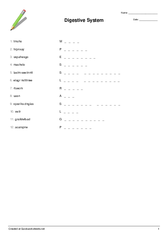 Digestive System: Primary and Accessory Organs - Free Word Scramble ...