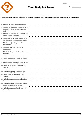 Trout Body Part Review - Q & A Worksheet - Quickworksheets